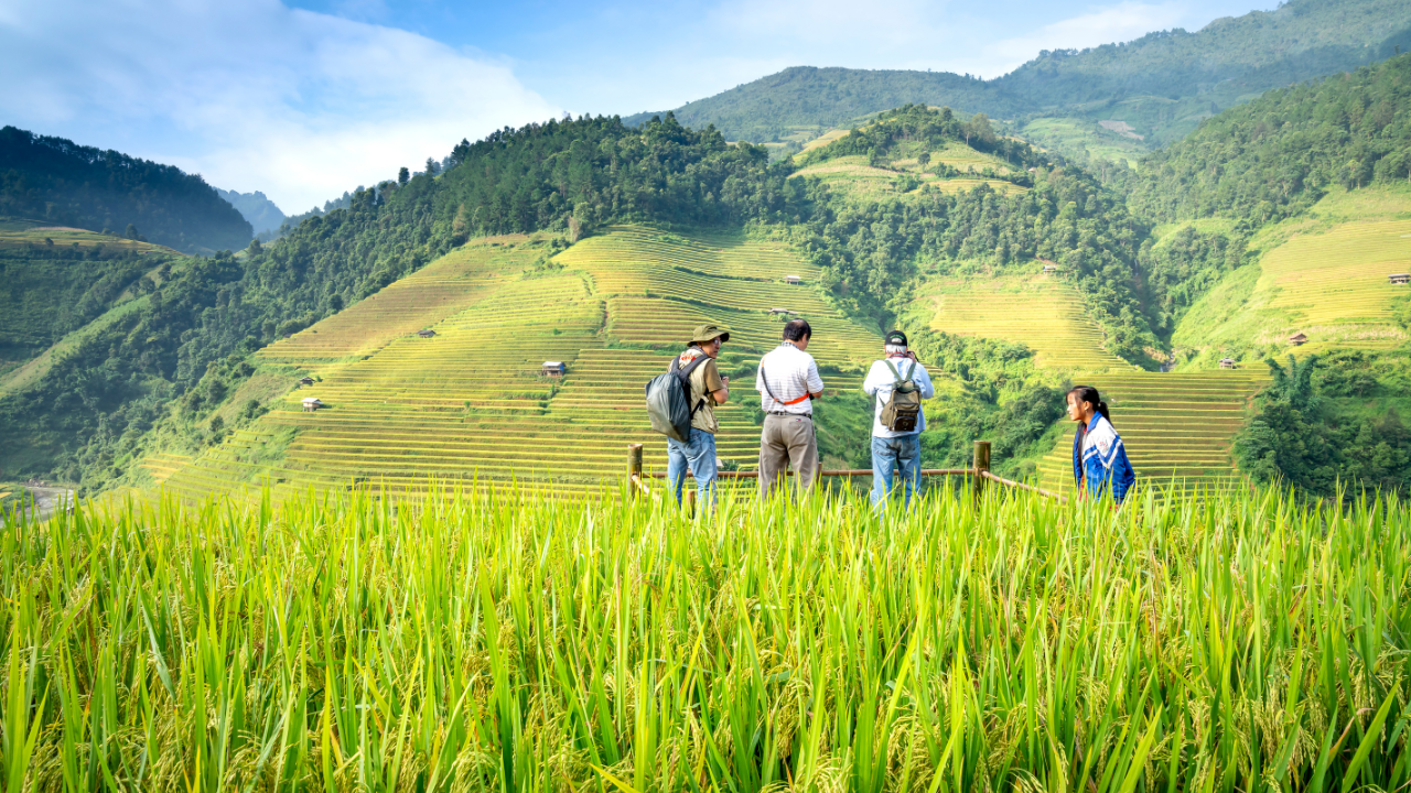 Agrotourism: Indonesia's next frontier